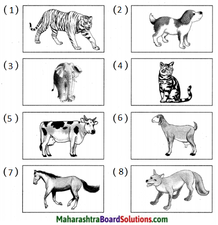 Maharashtra Board Class 5 Marathi Solutions Chapter 9 सिंह आणि बेडूक ...
