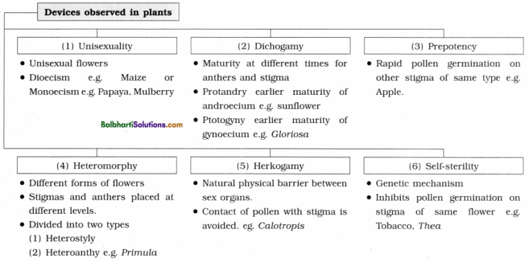 Maharashtra Board Class 12 Biology Notes Chapter 1 Reproduction in ...