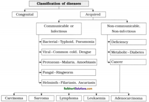Maharashtra Board Class 12 Biology Notes Chapter 10 Human Health and ...