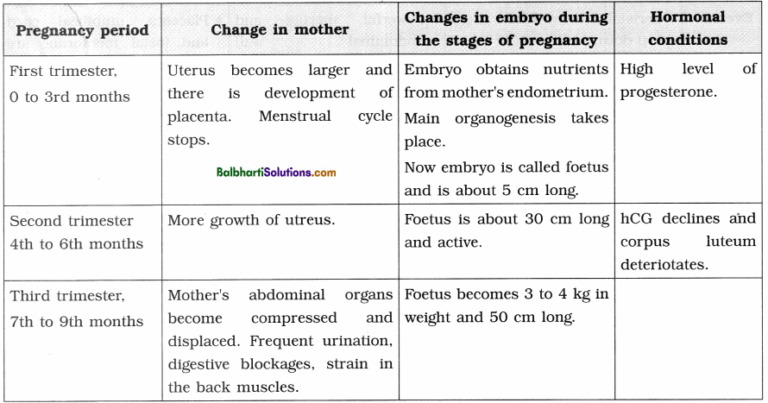 Maharashtra Board Class 12 Biology Notes Chapter 2 Reproduction in ...
