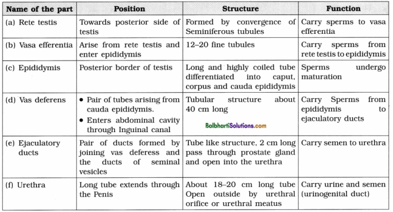 Maharashtra Board Class 12 Biology Notes Chapter 2 Reproduction in ...