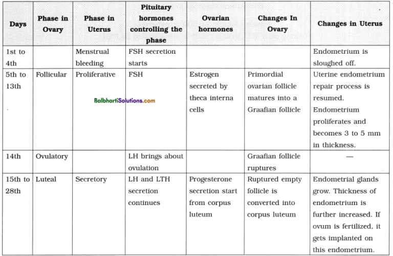 Maharashtra Board Class 12 Biology Notes Chapter 2 Reproduction in ...
