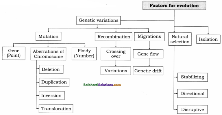 Maharashtra Board Class 12 Biology Notes Chapter 5 Origin and Evolution ...