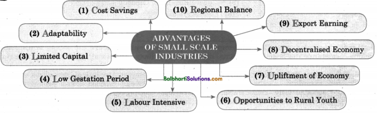Maharashtra Board OCM 11th Commerce Notes Chapter 3 Small Scale ...